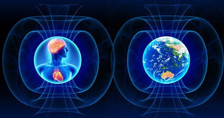 electromagnetic-fields | The Ki of Living